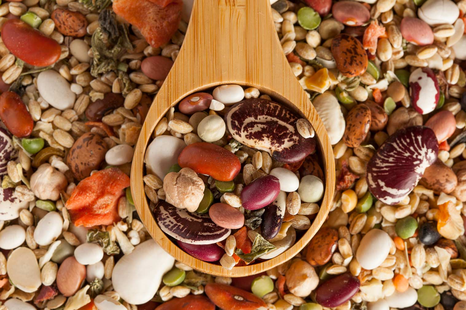 11 Best High Protein Indian Vegetarian Foods HealthPacker 11 Best High Protein Indian Vegetarian Foods HealthPacker