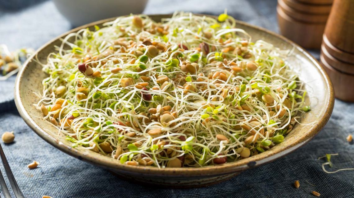 11 Best High Protein Indian Vegetarian Foods HealthPacker 11 Best High Protein Indian Vegetarian Foods HealthPacker